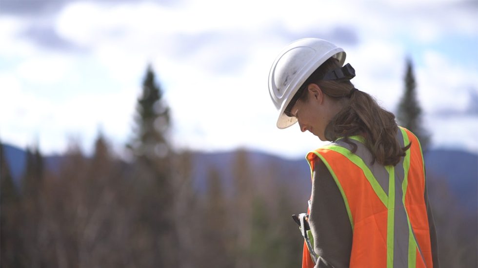 Foresterie - Perspectives - Vivre en Gaspésie